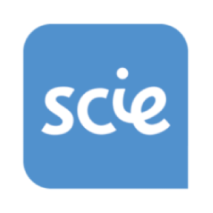 The Social Care Institute for Excellence (SCIE)’s national Co ...