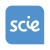 The Social Care Institute for Excellence (SCIE)’s national Co ...